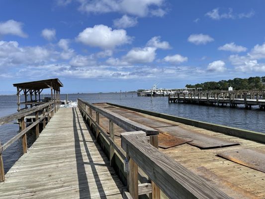 THE SALTY DONKEY - Updated September 2025 - 46 Photos & 26 Reviews - 99 ...