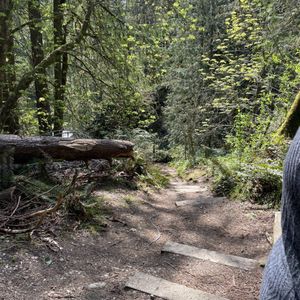 LAKE WILDERNESS Maple Valley, WA - Updated November 2024 - 102 Photos ...