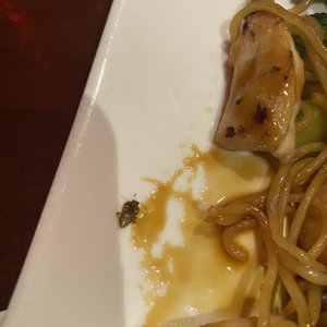 FRIDAY TUNA - 180 Photos & 128 Reviews - Japanese - 750 N Germantown ...