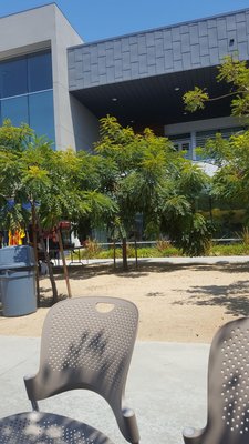 DOLLARHIDE COMMUNITY CENTER - Updated December 2025 - 13 Photos - 301 N ...