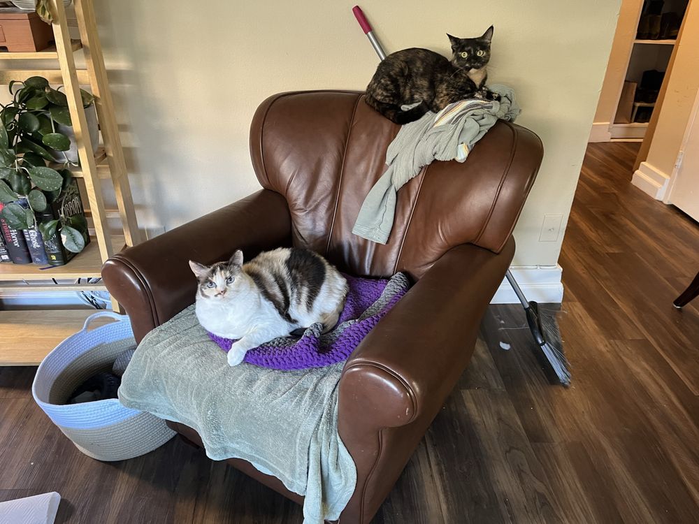 TAILS & TRAILS - Updated July 2025 - 137 Photos & 87 Reviews - Portland ...