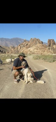 CALIFORNIA DOODLE RESCUE - Updated October 2024 - 14 Photos & 11 ...