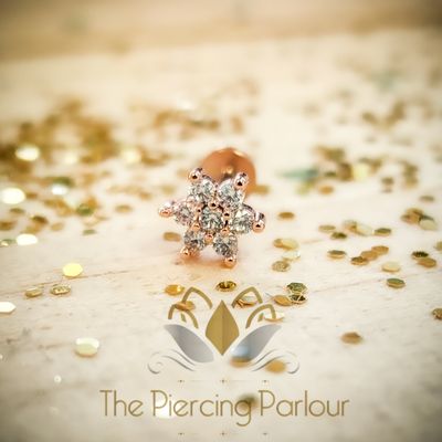 THE PIERCING PARLOUR - Updated December 2025 - 26 Photos & 19 Reviews ...