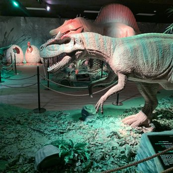 JURASSIC GARDENS - Updated September 2025 - 44 Photos - 27582 Volo ...