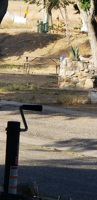 LAKE ISABELLA RV RESORT - Updated July 2025 - 16 Photos - 11936 Hwy 178 ...