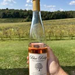 BLUE RIDGE ESTATE VINEYARD & WINERY - Updated October 2025 - 611 Photos ...