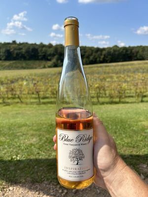 BLUE RIDGE ESTATE VINEYARD & WINERY - Updated October 2025 - 611 Photos ...