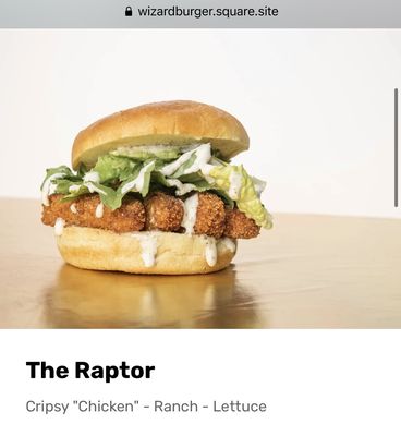 WIZARD BURGER - 45 Photos & 43 Reviews - 74 N Pearl St, Albany, New ...