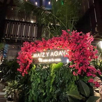 MAIZ Y AGAVE - Updated November 2024 - 615 Photos & 276 Reviews - 375 ...