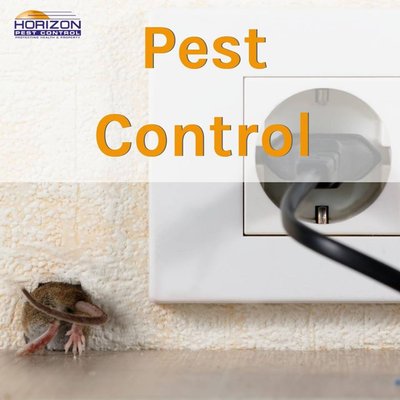 HORIZON PEST CONTROL - Updated September 2025 - 48 Photos & 35 Reviews ...