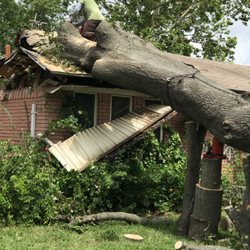 BIG BIRD TREE SERVICE - 23 Photos & 14 Reviews - 401 E Wheatland Rd ...