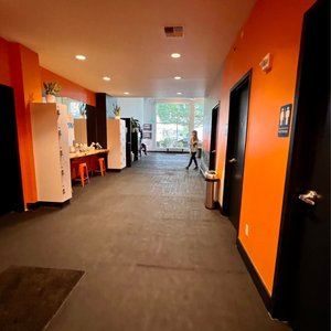 PRO CLUB BELLEVUE - Updated February 2025 - 144 Photos & 273 Reviews ...