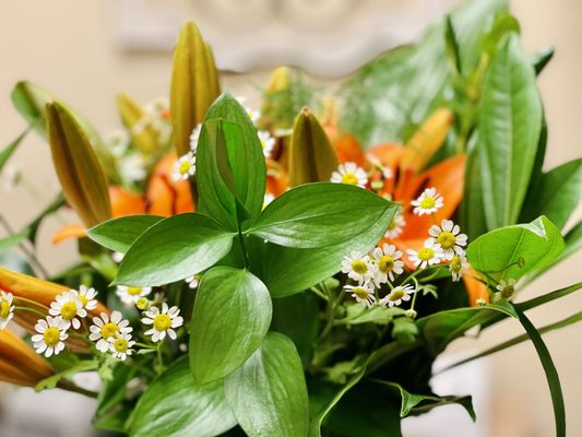 Heb Flower Delivery San Antonio Tx | Best Flower Site