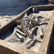 DISCOVERY CUBE ORANGE COUNTY - 1855 Photos & 824 Reviews - 2500 N Main ...