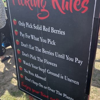 PECAN CREEK STRAWBERRY FARM - Updated December 2025 - 69 Photos & 22 ...