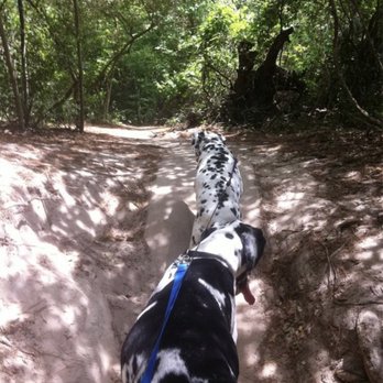 COLLINS PARK - Updated December 2025 - 46 Photos & 36 Reviews - 6727 ...