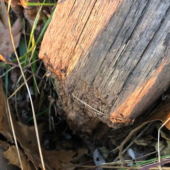 COUNTY LINE FENCE & OUTDOOR PRODUCTS - Updated December 2025 - 49 ...