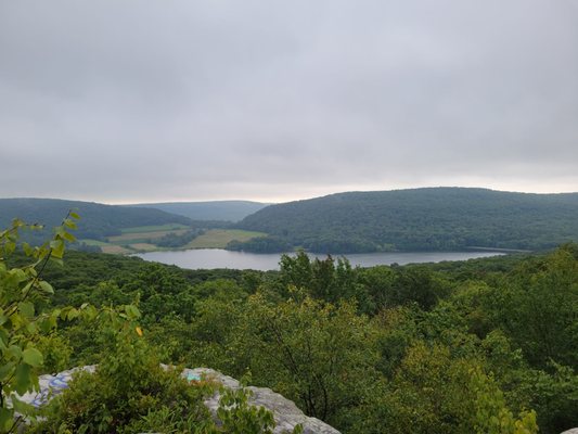 FORBES STATE FOREST - Updated June 2025 - 65 Photos - 1291 Route 30 ...