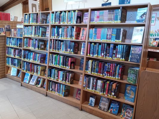 MARY CHENEY LIBRARY - Updated December 2025 - 74 Photos & 11 Reviews ...