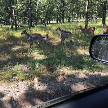 WOOLAROC MUSEUM & WILDLIFE PRESERVE - Updated December 2025 - 320 ...