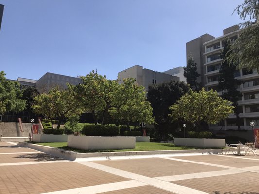 KECK SCHOOL OF MEDICINE OF USC - Updated October 2025 - 16 Photos ...