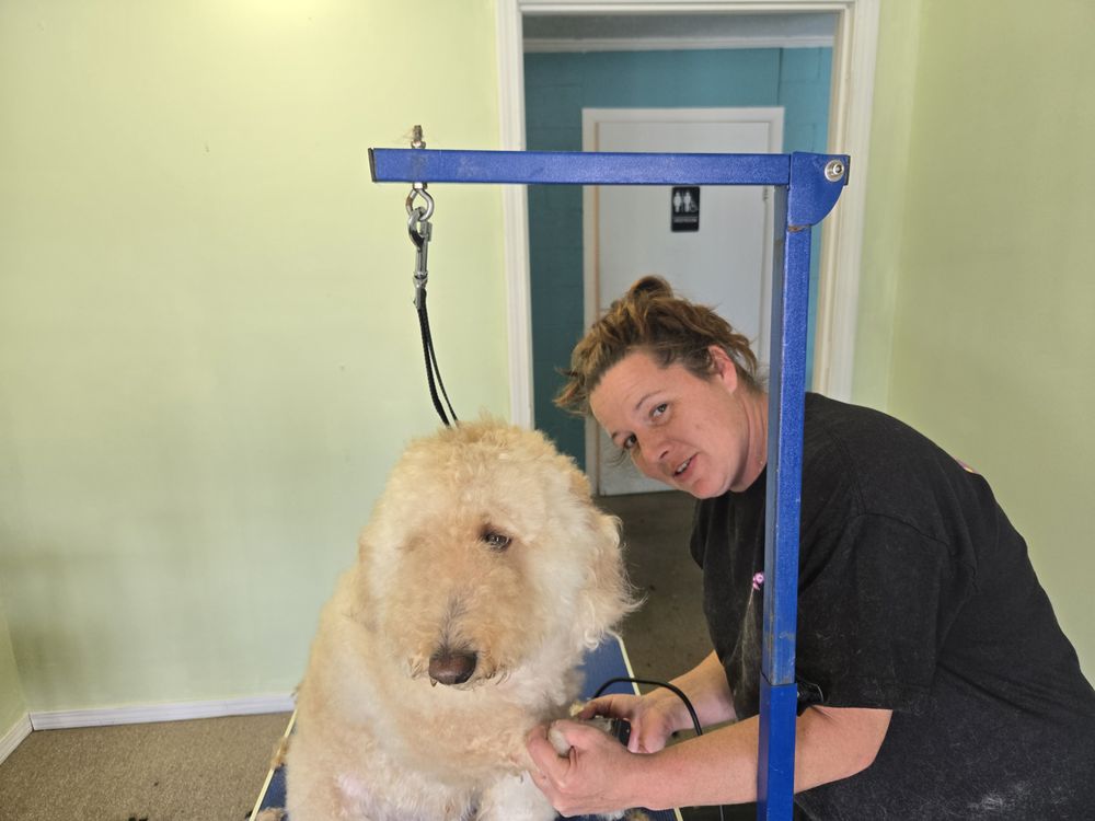 SHAG-A-POOS PET PARLOR - Updated October 2025 - 27 Photos - 2832 Castle ...