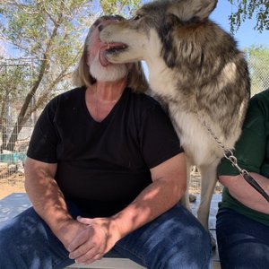 WOLF MOUNTAIN SANCTUARY - 432 Photos & 169 Reviews - 7520 Fairlane Rd ...