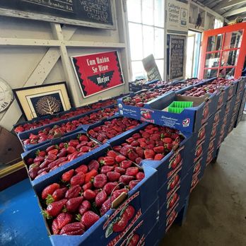 SWANTON BERRY FARM - Updated March 2025 - 1111 Photos & 535 Reviews ...