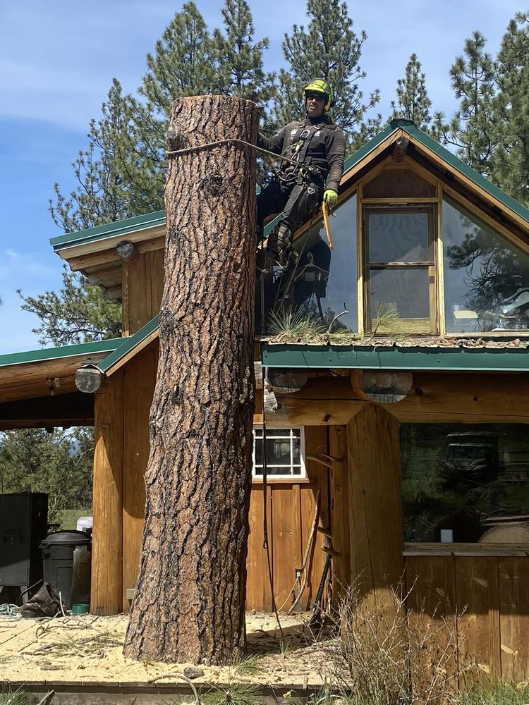 EXECUTIVE TREE CARE - Updated October 2025 - Request a Quote - 10 ...