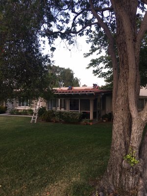 Zech Plumbing - Updated December 2025 - 88 Reviews - 2240 Summit Dr ...