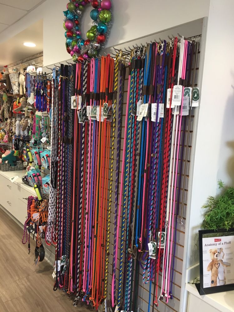 NOTORIOUS DOG - Updated August 2025 - 13 Photos & 17 Reviews - 8625 ...