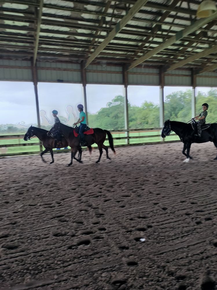 SUNNY TIMES STABLES - Updated May 2026 - 34 Photos - 1100 Tilton Rd ...