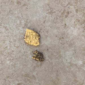 TACO REY - 12 Photos - 913 S Martin Luther King Blvd, Americus, Georgia ...