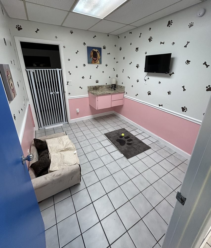 PAWS & CLAWS PET BOARDING AND DAYCARE - Updated October 2025 - 13 ...