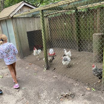 ANIMAL FARM PETTING ZOO - Updated January 2026 - 103 Photos & 55 ...
