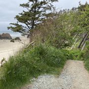 ARCADIA BEACH STATE RECREATION SITE - 86 Photos & 17 Reviews - 3 Miles ...