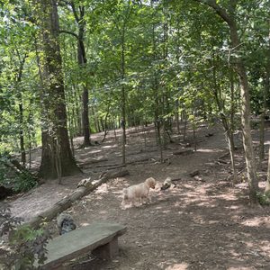 FETCH PARK AT THE WORKS - Updated May 2025 - 16 Photos - 1295 ...