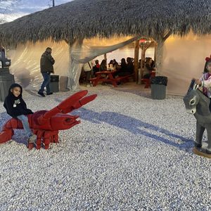 SWAMP DONKEYS CRAWFISH AND SEAFOOD - 24 Photos & 34 Reviews - Cajun ...