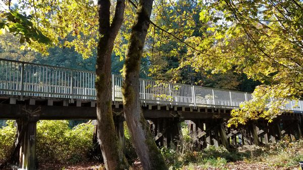 CEDAR RIVER REGIONAL TRAIL - 41 Photos & 28 Reviews - 1717 Maple Valley ...