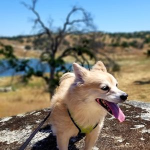 MADERA MOBILE HOME AND RV PARK - 2169 W Kennedy St, Madera, California ...