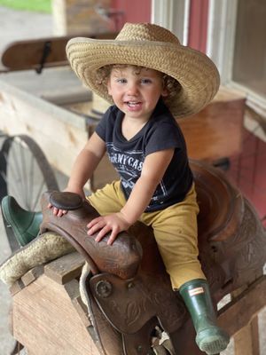 MIRACLE RANCH - Updated September 2025 - 55 Photos & 10 Reviews - 15999 ...