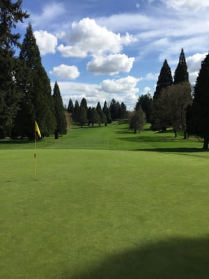 ROSE CITY GOLF COURSE - Updated November 2024 - 15 Photos & 42 Reviews ...