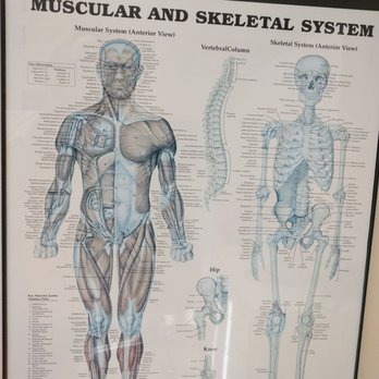 TODD LASNER, MD - Updated December 2025 - 4302 Alton Rd, Miami Beach ...