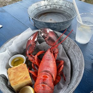 SEA BIRD - 12 Photos & 23 Reviews - 89 Center St, Wolfeboro Falls, NH ...