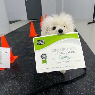 TORONTO HUMANE SOCIETY - Updated February 2025 - 76 Photos & 45 Reviews ...