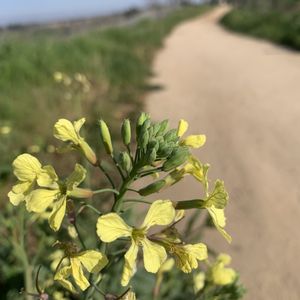 ROEDING PARK - Updated July 2025 - 15 Photos & 15 Reviews - 890 W ...