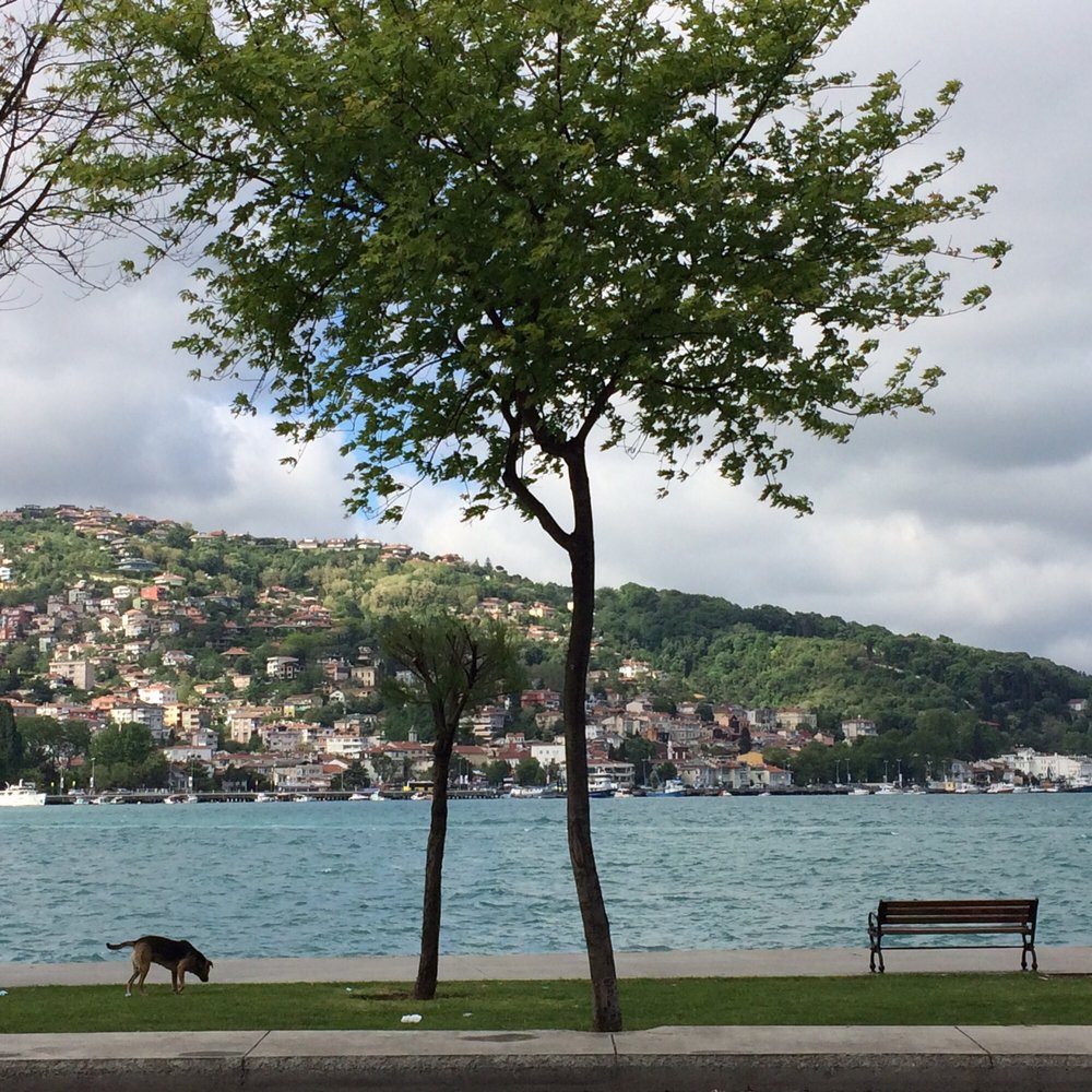 SARIYER SAHILI - İstanbul, Turkey - Beaches - Yelp