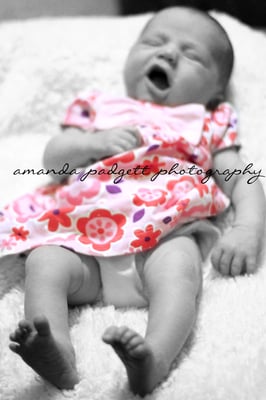 AMANDA PADGETT PHOTOGRAPHY - Updated January 2025 - Dale City, Virginia ...