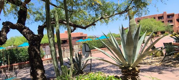 KO’SIN - Updated December 2025 - 238 Photos & 140 Reviews - 5594 W Wild ...