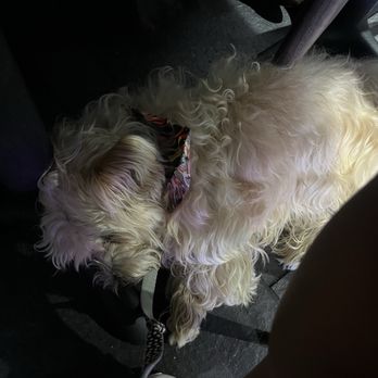 MADRES BRUNCH - Updated December 2025 - 1355 Photos & 529 Reviews ...